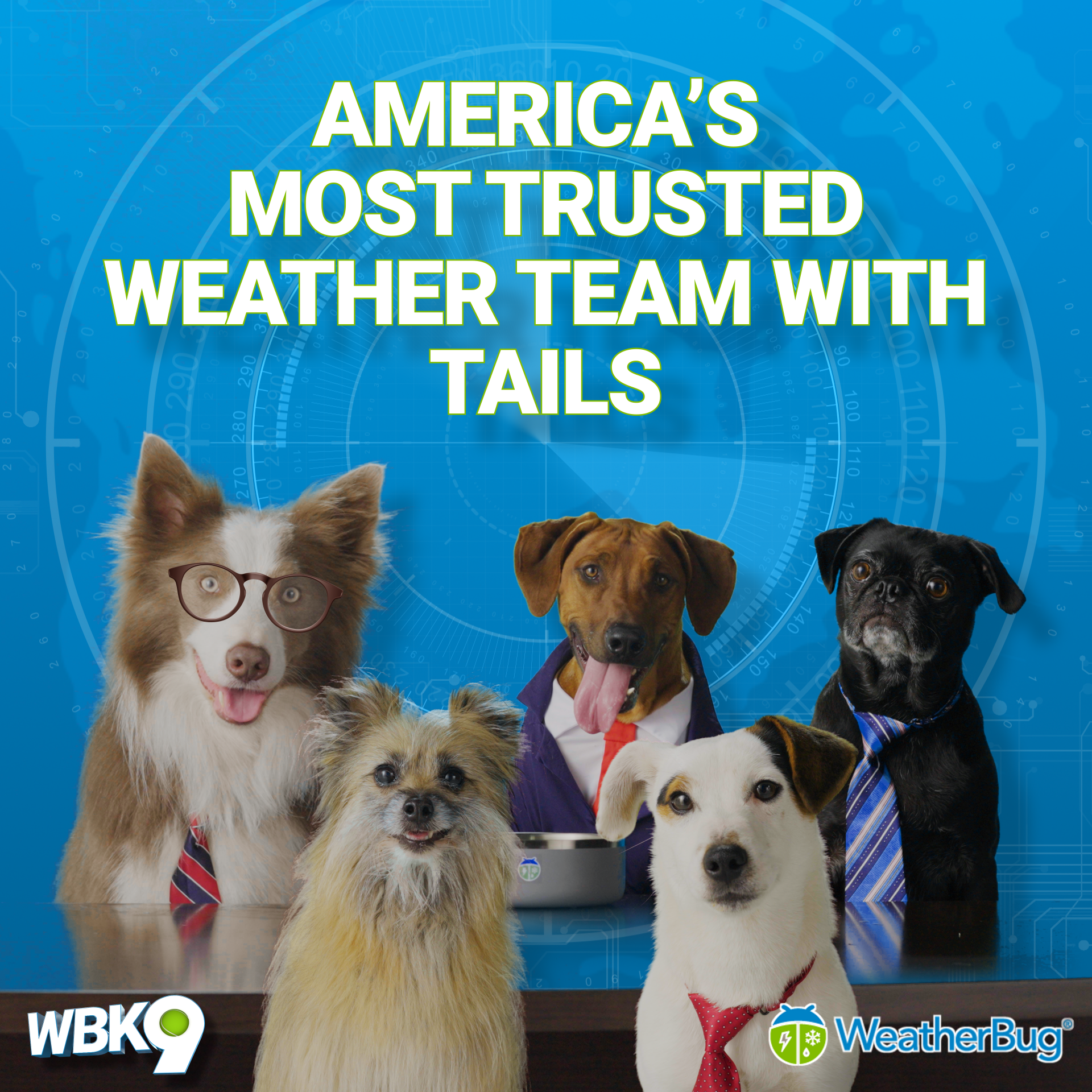 Weather for Pets | Ad Age