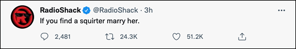 RadioShack's X-rated tweets draw attention to retailer turned ...