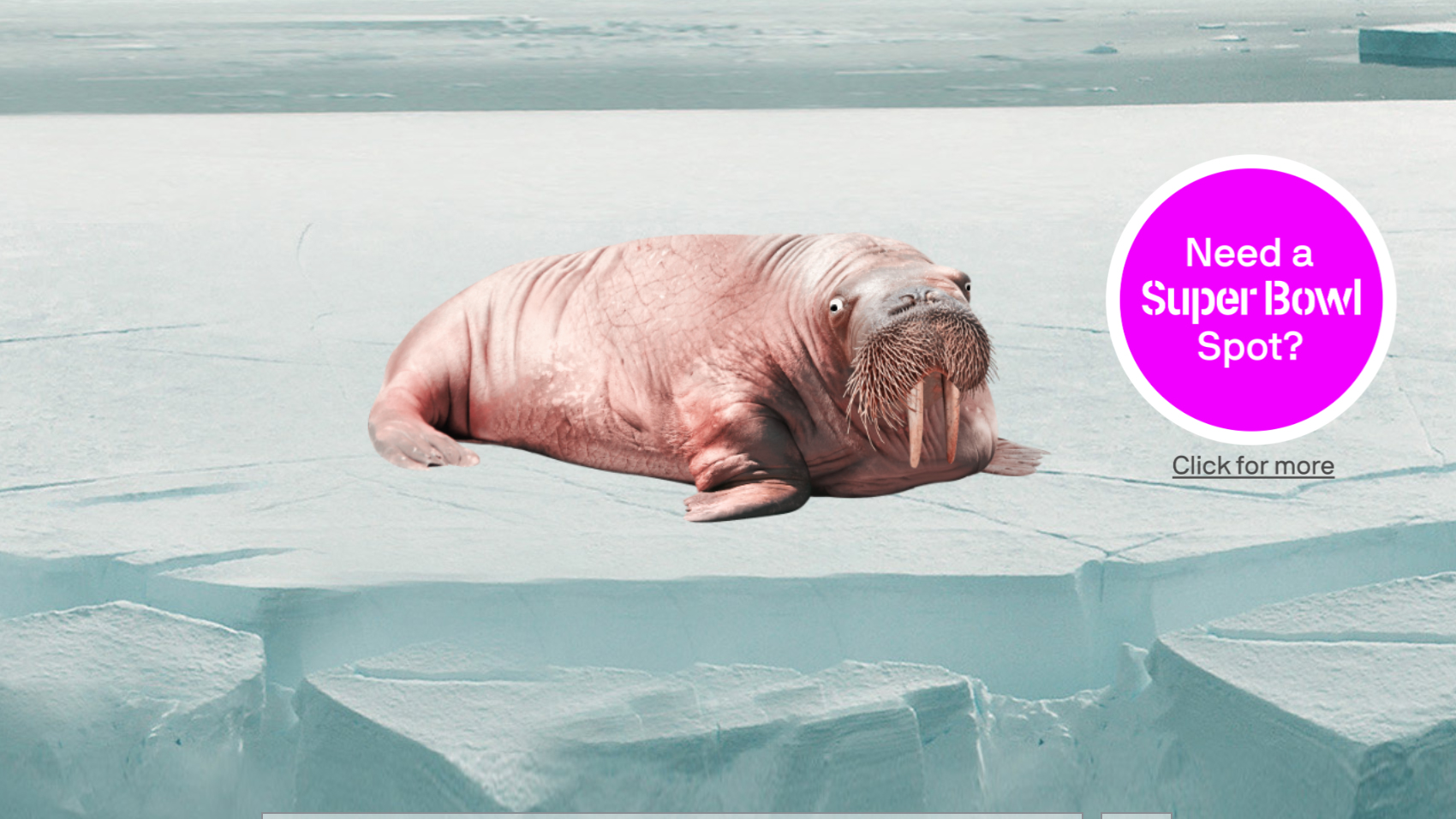 Walrus offers 2023 Super Bowl commercial without agency fee | Ad Age