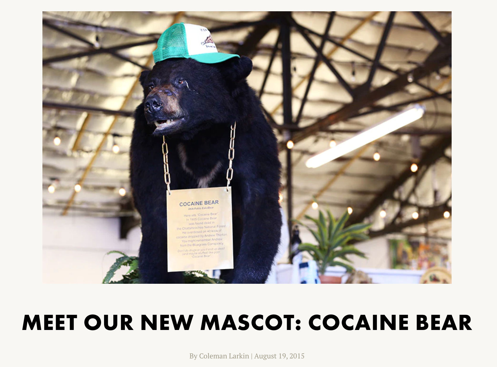 Cocaine Bear’s fame began with these Kentucky ad guys | Ad Age