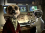 How Did a Meerkat Bowl Over Brits? It's Simples | Ad Age