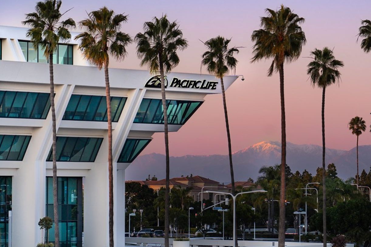 4 agency reviews: USAA, Tim Hortons, United Parks & Resorts, Pacific ...