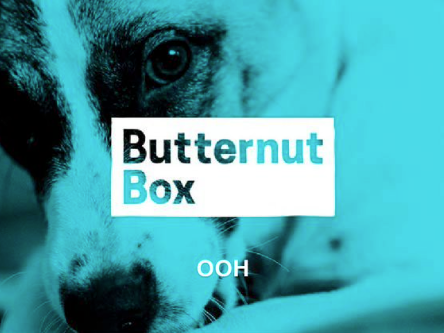 Raising brand awareness Butternut Box in Ireland | Ad Age