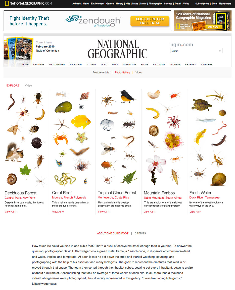 National Geographic/David Liittschwager : One Cubic Foot | Ad Age