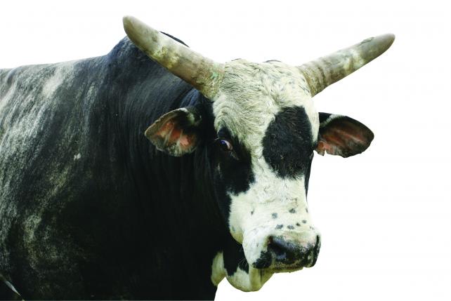 In the Ad Industry, It Is What It Is . . . and Often It's a Load of ...