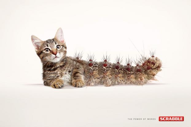 Scrabble: Cat-erpillar | Ad Age