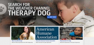 The Weather Channel : Green Screen | Ad Age