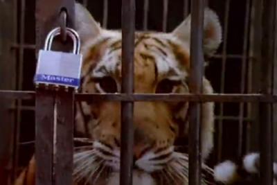 Master Lock - Tough Variety Video from Ad Age