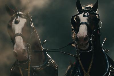 Budweiser - Not Backing Down | Ad Age