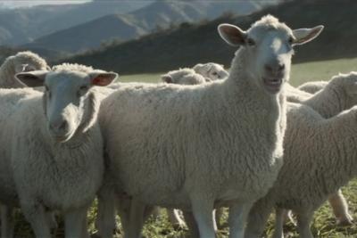 Budweiser - Not Backing Down Video from Ad Age