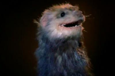 Budweiser - Ferret Gets the Job Video from Ad Age