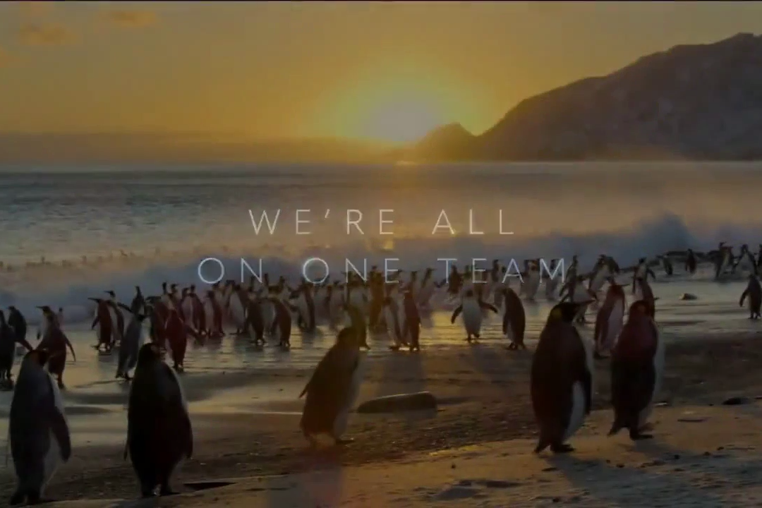 Netflix "Our Planet: One Team" | Ad Age