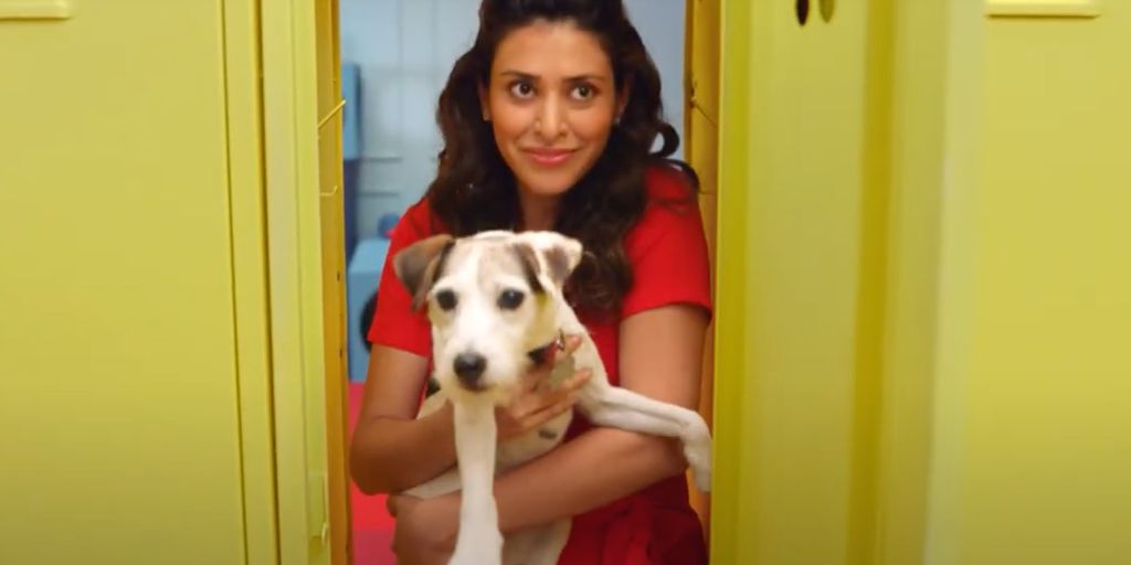Petsmart Commercial Actress PetSmart Hosts Grand Opening For Its