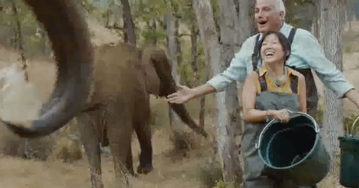Chase pulls elephant ad campaign after pressure from PETA | Ad Age