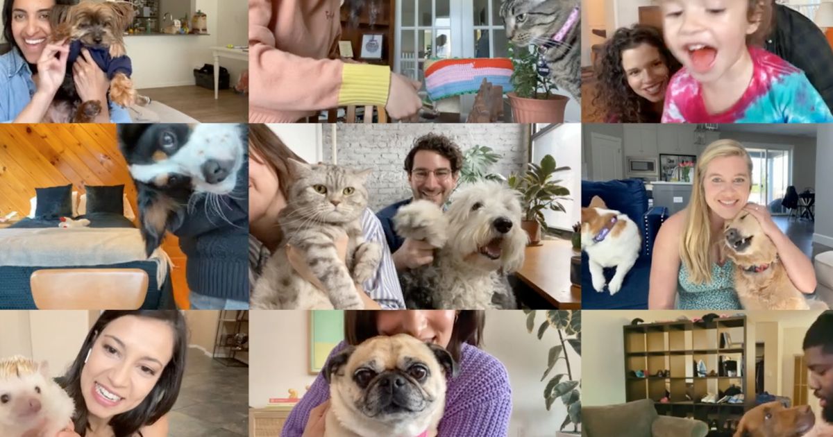 Chewy unveils new campaign as pet interest surges | Ad Age