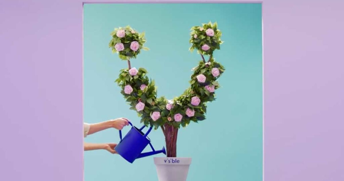 The digital-only brand says its seen a surge from value seeking ...