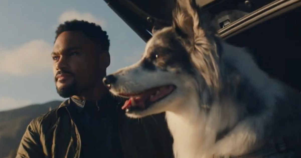 Watch the newest commercials on TV from Chewy, BMW, Chime and more | Ad Age
