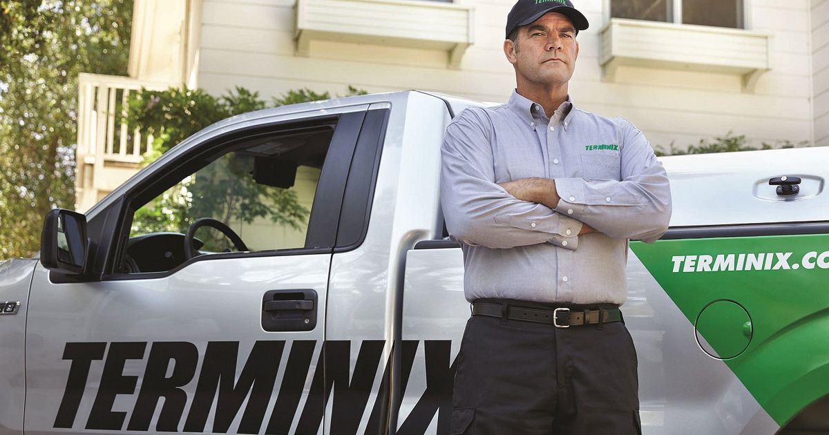 Terminix taps The Martin Agency and Mediahub as agencies of record | Ad Age