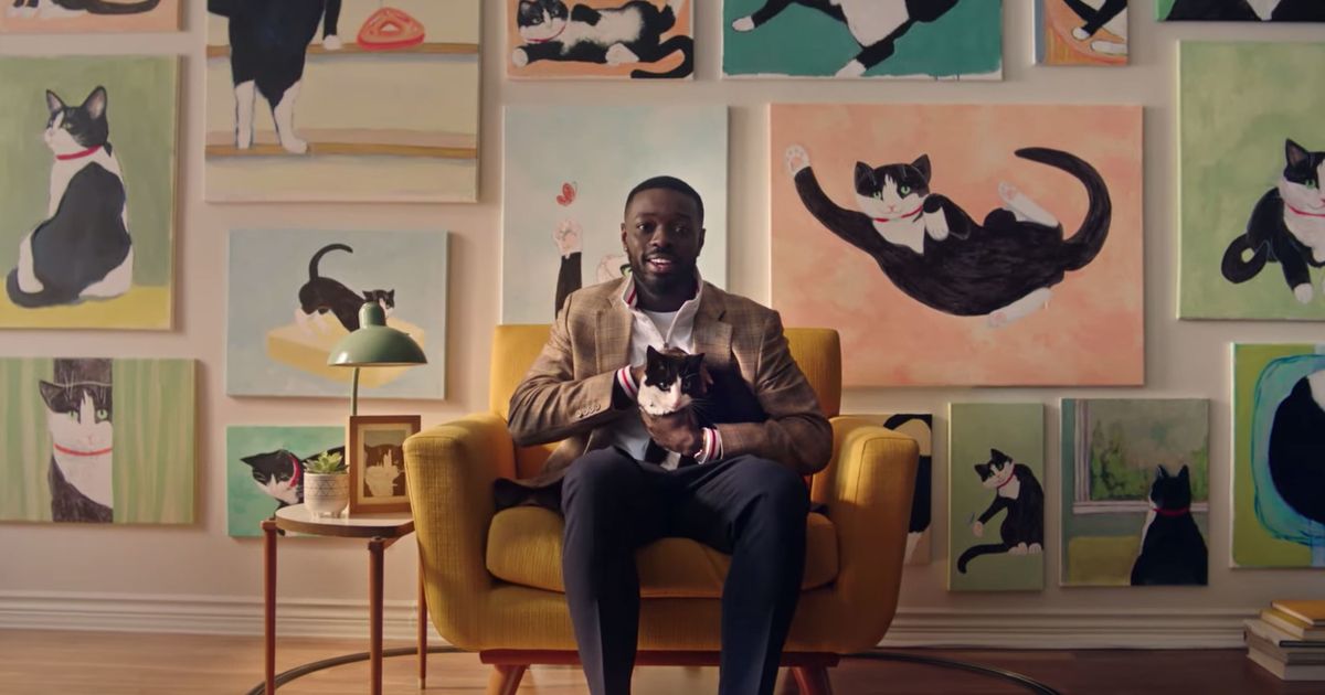 PetSmart debuts new brand platform amid competition | Ad Age