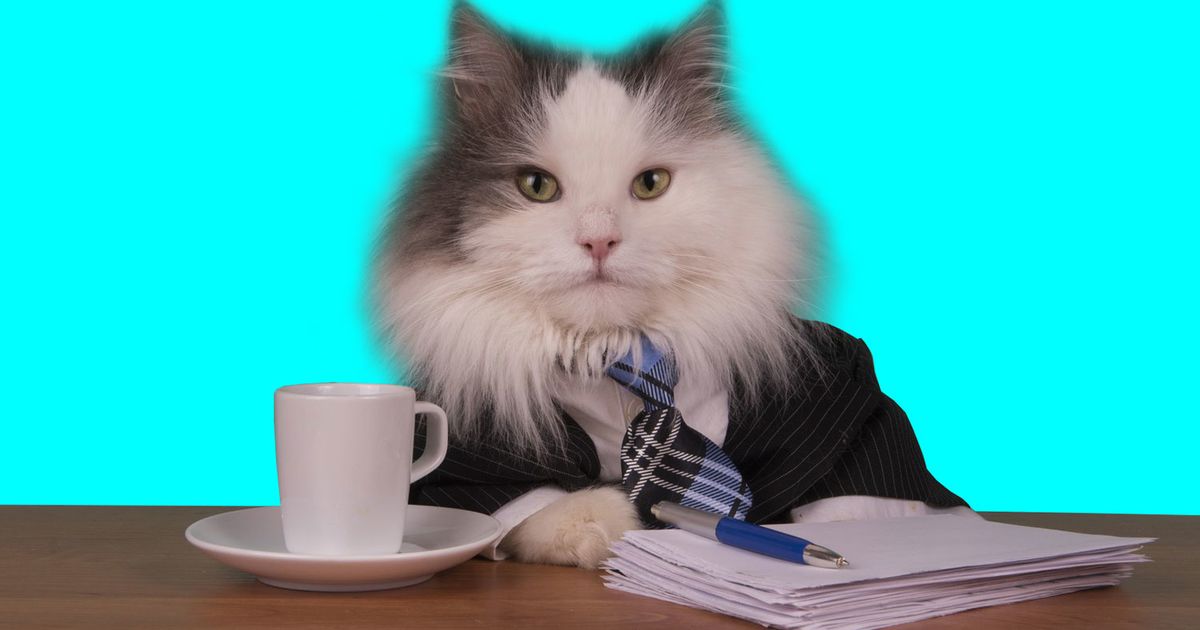 A-List 2022 Best Agency: Mischief | Ad Age