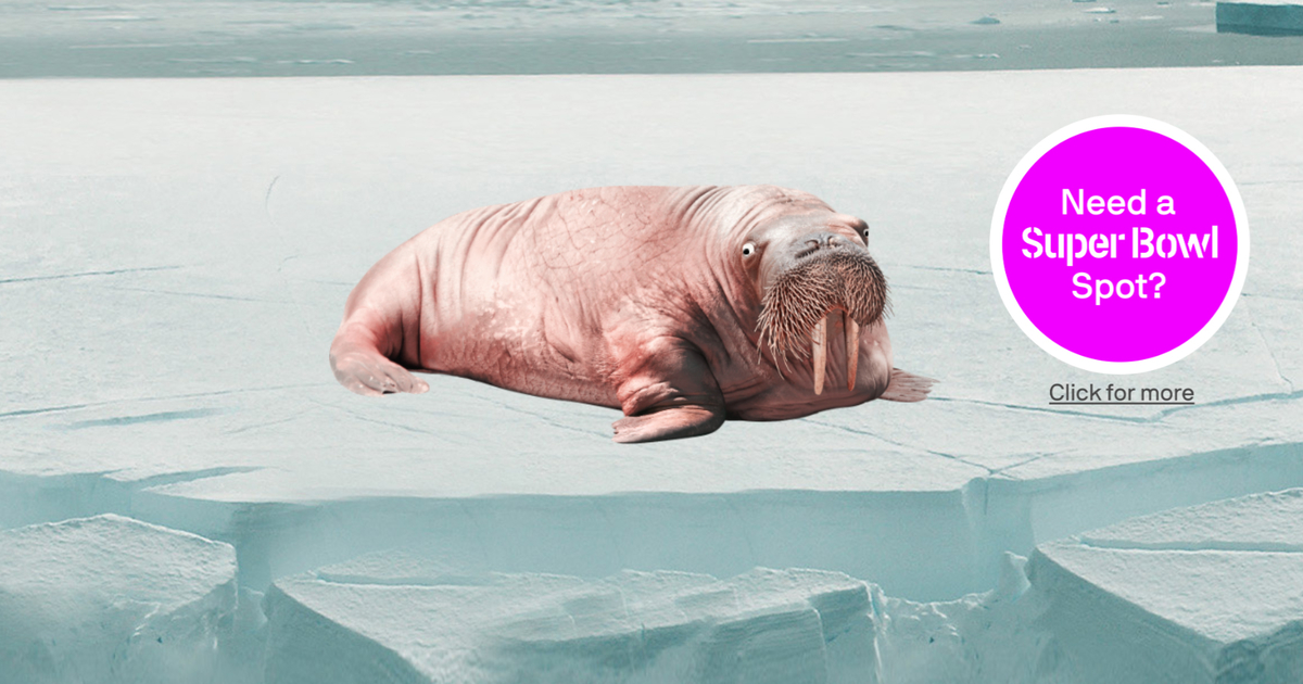 Walrus offers 2023 Super Bowl commercial without agency fee | Ad Age