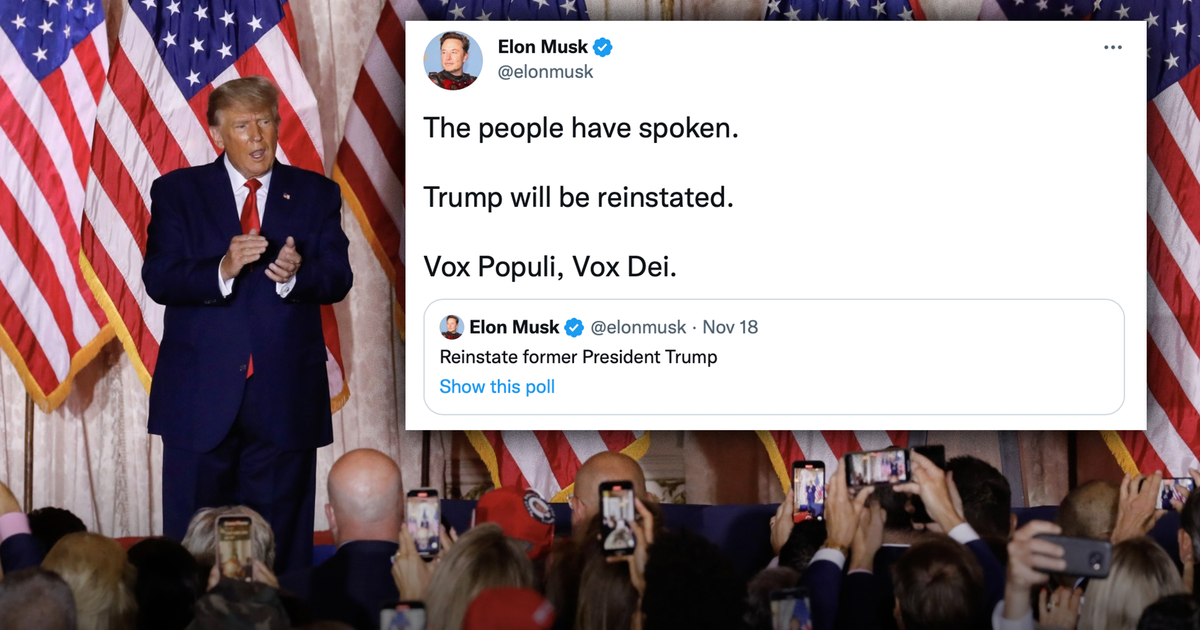 Elon Musk restores Trump on Twitter making brands' ad strategies even ...