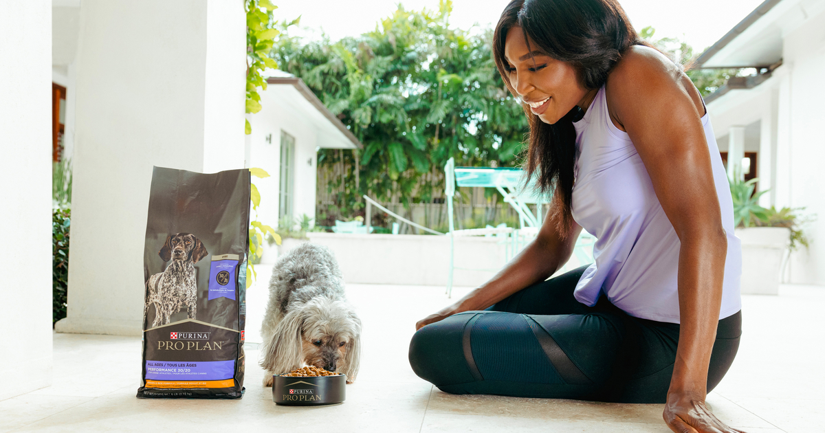 Venus Williams and her dog Harry star in Purina Pro Plan campaign | Ad Age