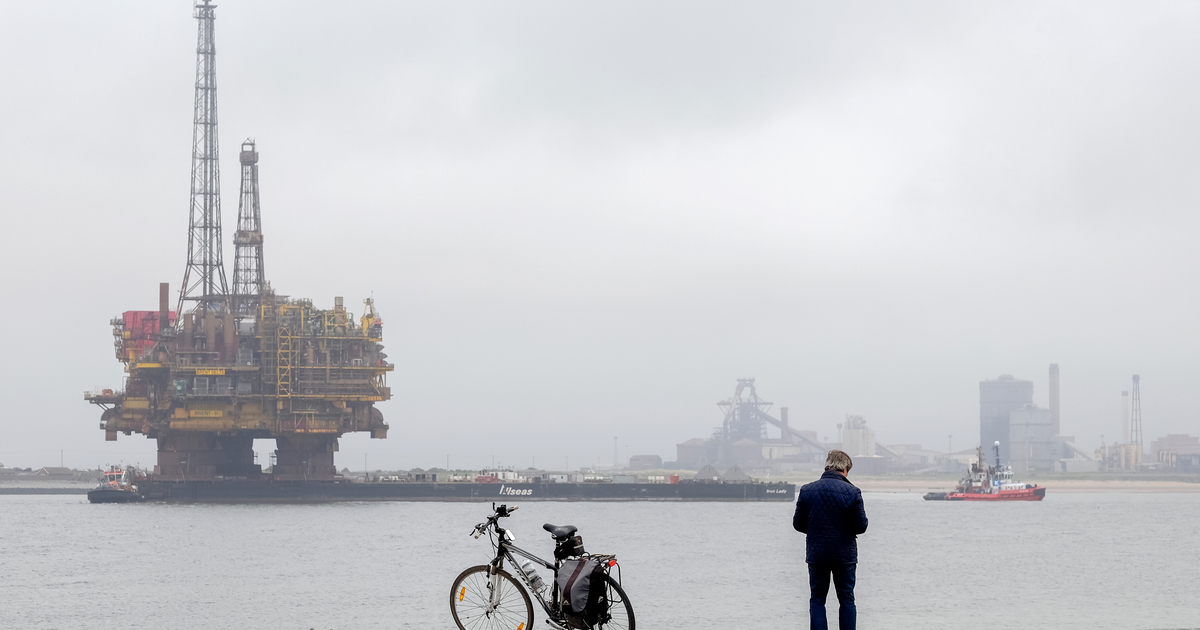 Havas and Shell: climate activists demand agency lose B Corp status ...