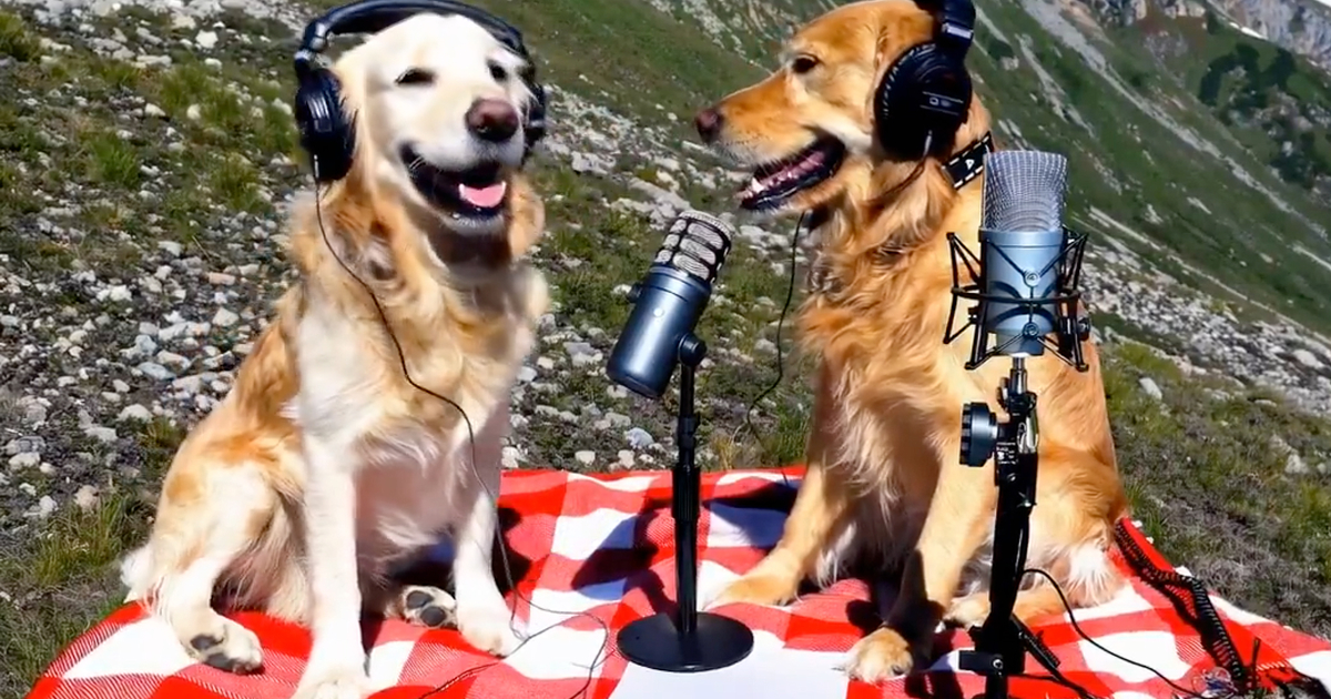 OpenAI’s Sora tool reveals divide over AI and creativity | Ad Age