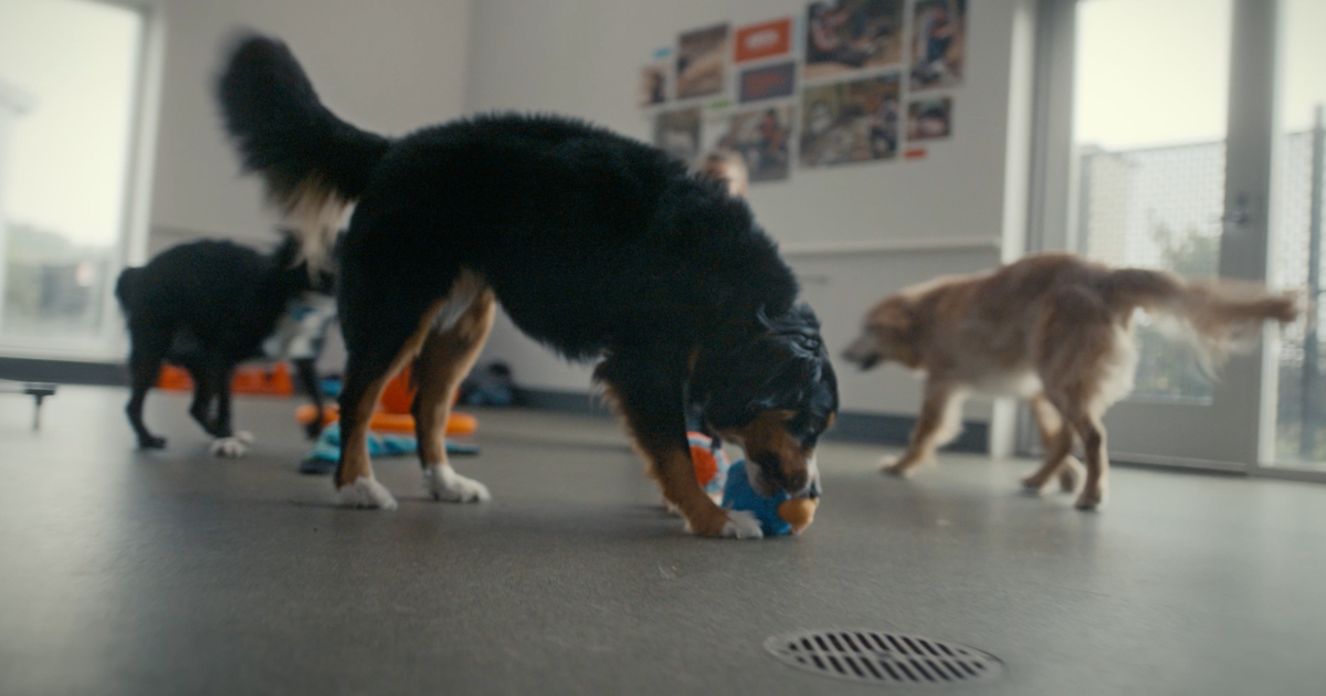 Laughlin Constable: Best Small Agencies 2024 | Ad Age