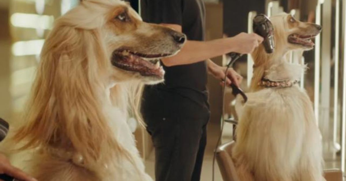 Watch the newest commercials on TV from Reebok, E-Trade, Halo Top and ...