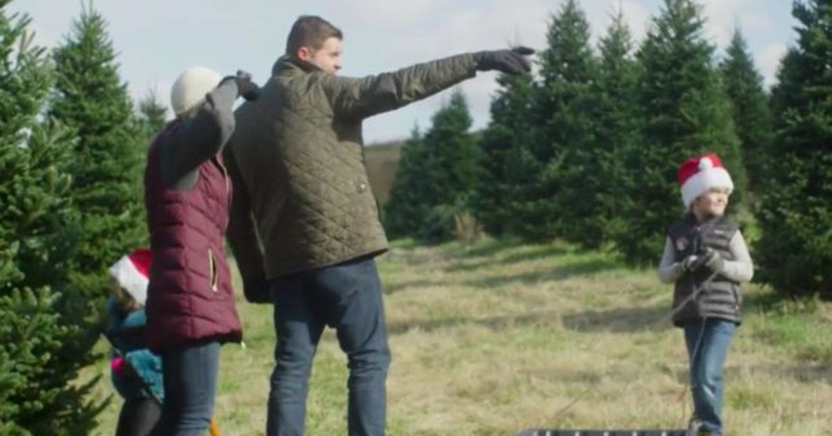 There's a real Christmas tree marketing campaign | Ad Age