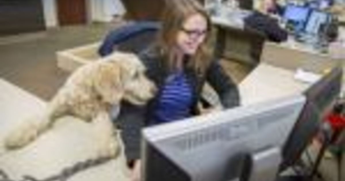Where Every Day Is 'Bring Your Dog to Work Day' | Ad Age