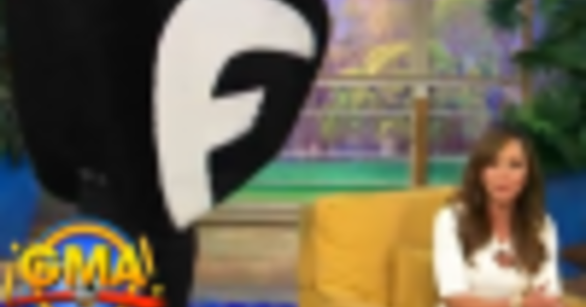 'Winking at Hispanic': Where Does TV's New Fusion Channel Fit? | Ad Age