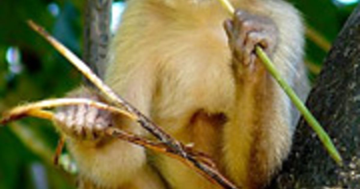 Twitterverse Tells the Media to SHUT UP (Again) ... and/or Save ...