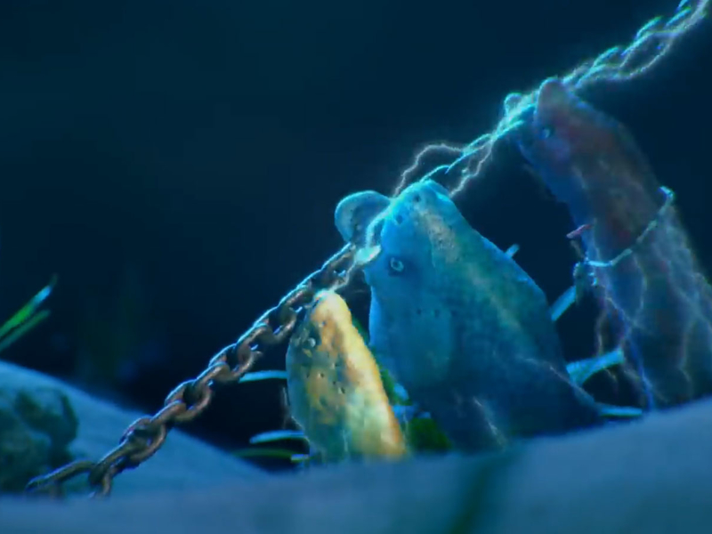 Singing electric eels are the new pitch-fish for Smart electric cars ...