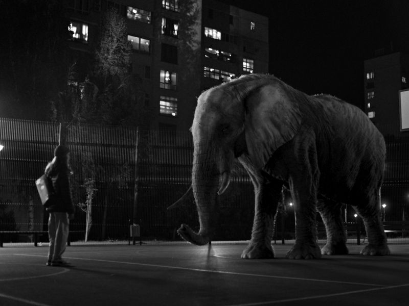 An elephant wreaks havoc on a city in holiday ad from WWF | Ad Age