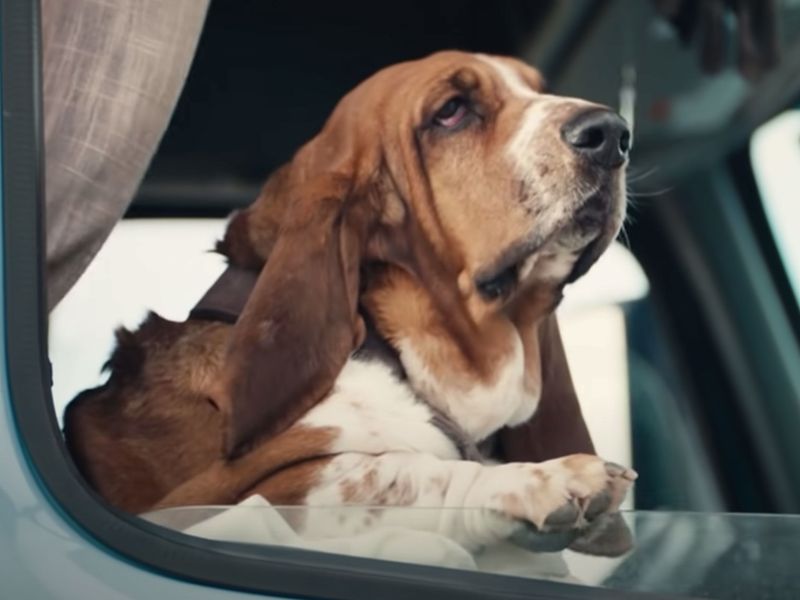 Volvo Trucks' new commercial is all about the dogs | Ad Age