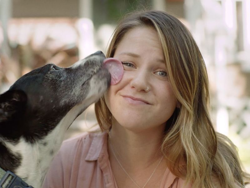 Pet-sitting service Rover welcomes extremely specific instructions for ...