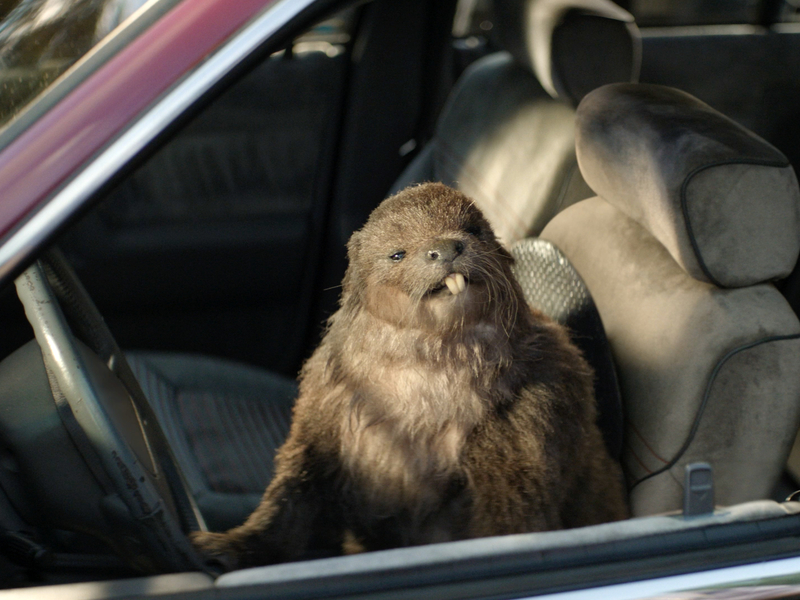 LegalShield is using ridiculous state laws to highlight legal services ...