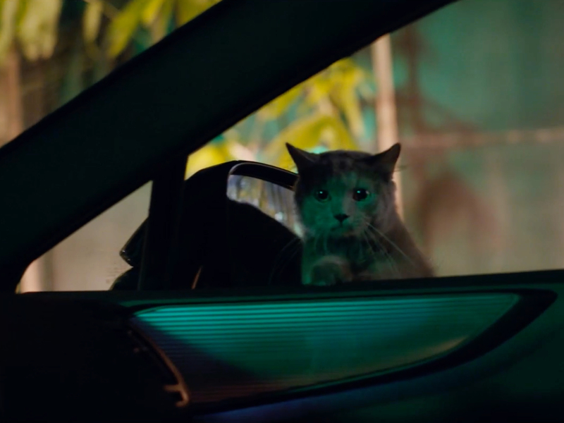 A cat makes its home in a Lexus in this charming spot | Ad Age