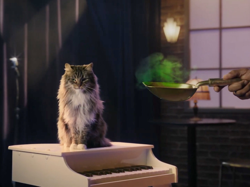 World’s Best Cat Litter made a mini-musical about poop smells | Ad Age ...