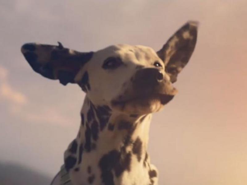 Watch Budweiser's Bob Dylan-backed Super Bowl ad | Ad Age