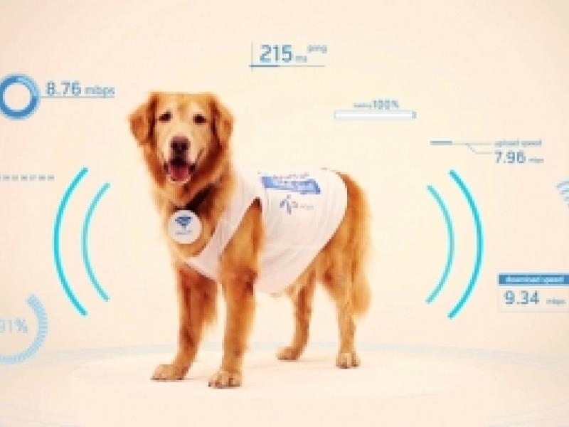 Thai Telecom Company Turns Puppies into WiFi Hotspots | Ad Age