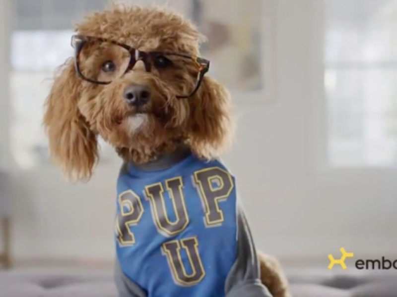 Watch the newest commercials on TV from Xbox, Experian, Embark DNA and ...