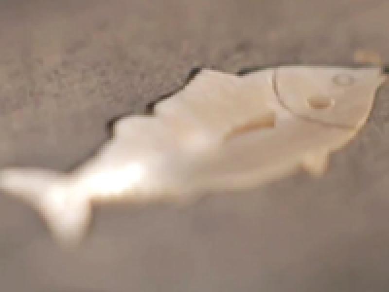 Followfish : TunaTunes | Ad Age