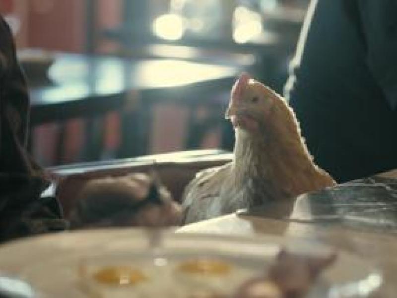 A Free-Range Chicken Takes a Roadtrip (and Selfies) in Geico Ad | Ad Age