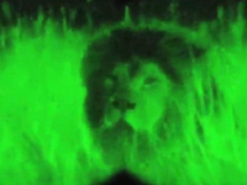 Geico : Night Vision | Ad Age