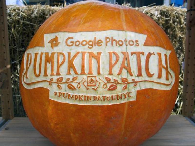 Google Sprouts a Pumpkin Patch In Times Square to Promote Photos App ...