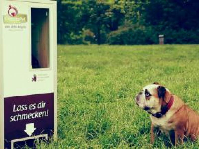 Granatapet: Fitness game for dogs | AdAge